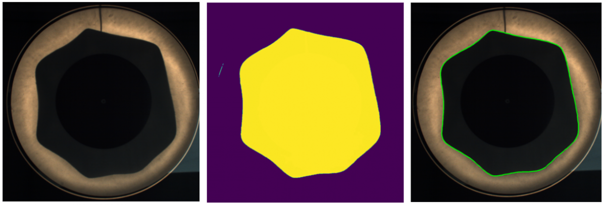 Validating SEDDI Textura's Drape Prediction with the Cusick Drape Test ...